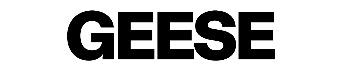 Geese | Official Merch Store | Hello Merch