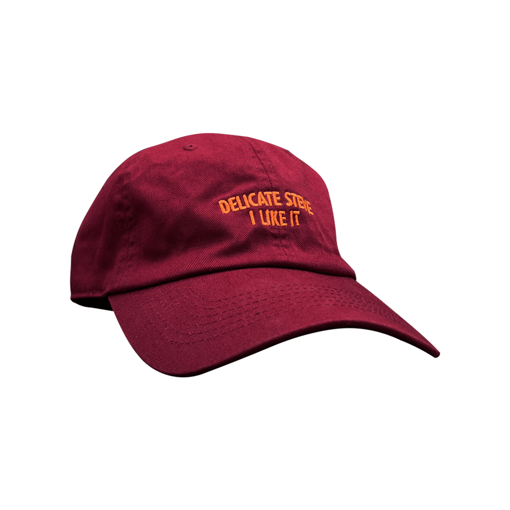 Delicate Steve - Delicate Steve I Like It Hat (Maroon)