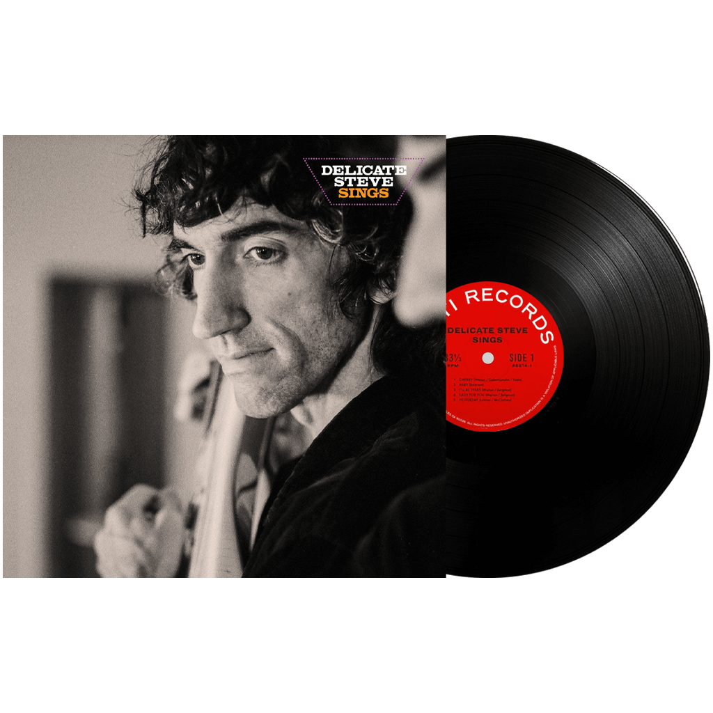 Delicate Steve - Delicate Steve Sings LP