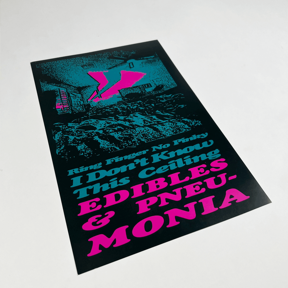 Ring Finger No Pinky - I Don't Know This Ceiling Poster