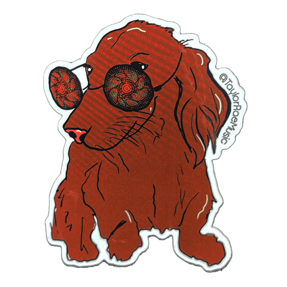 Taylor Rae - Trippy Dog Sticker