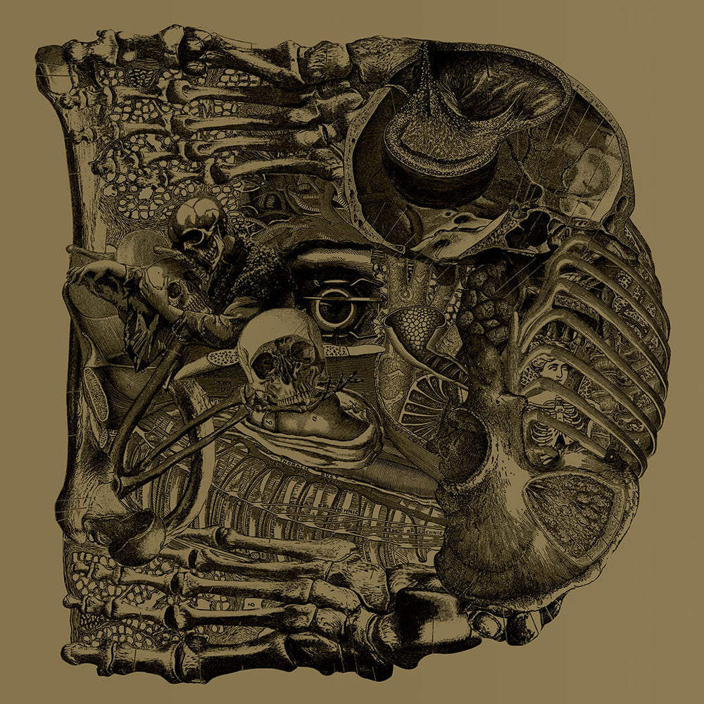 Boris | Official Merch Store | Hello Merch