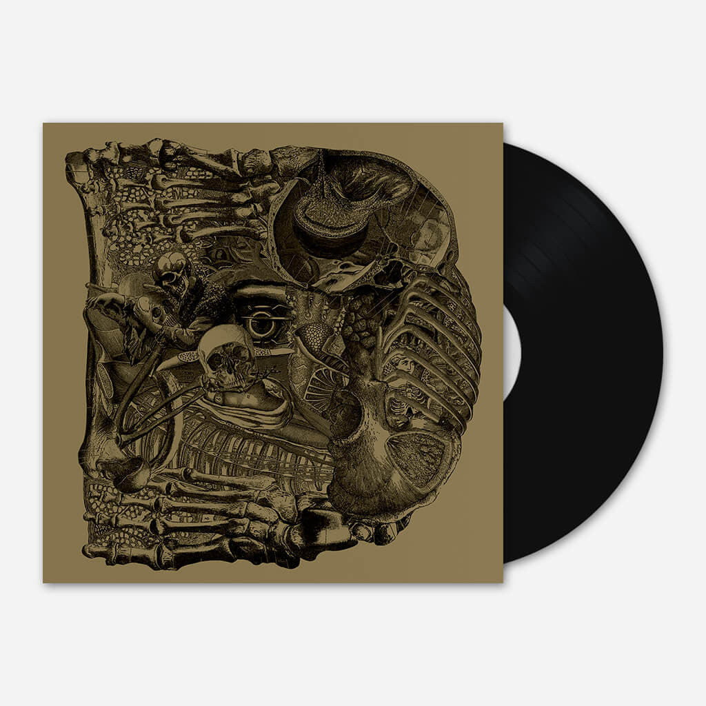 Dear 12" Vinyl