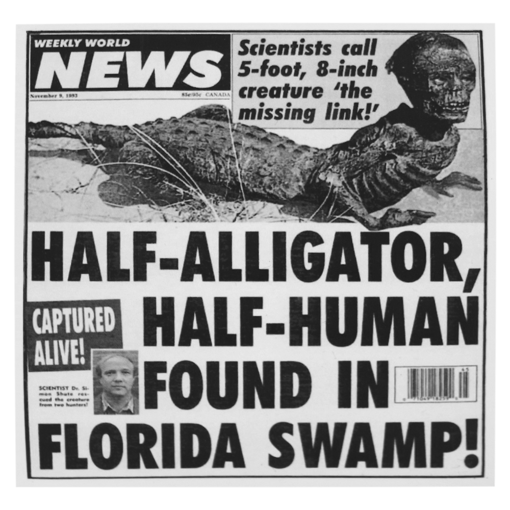 WWN 6-Pack Sticker Bundle