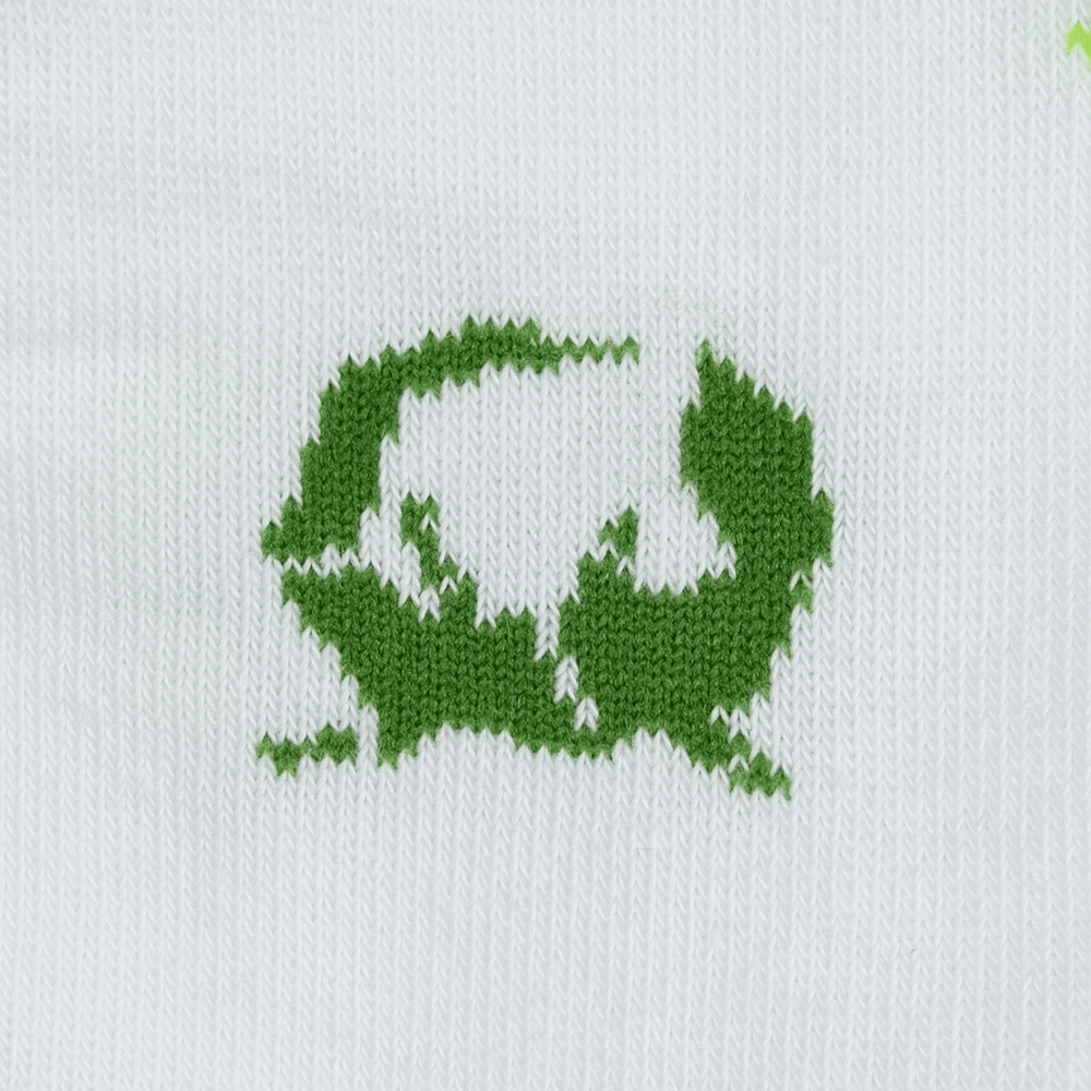 Broken Lizard - Lizard Socks